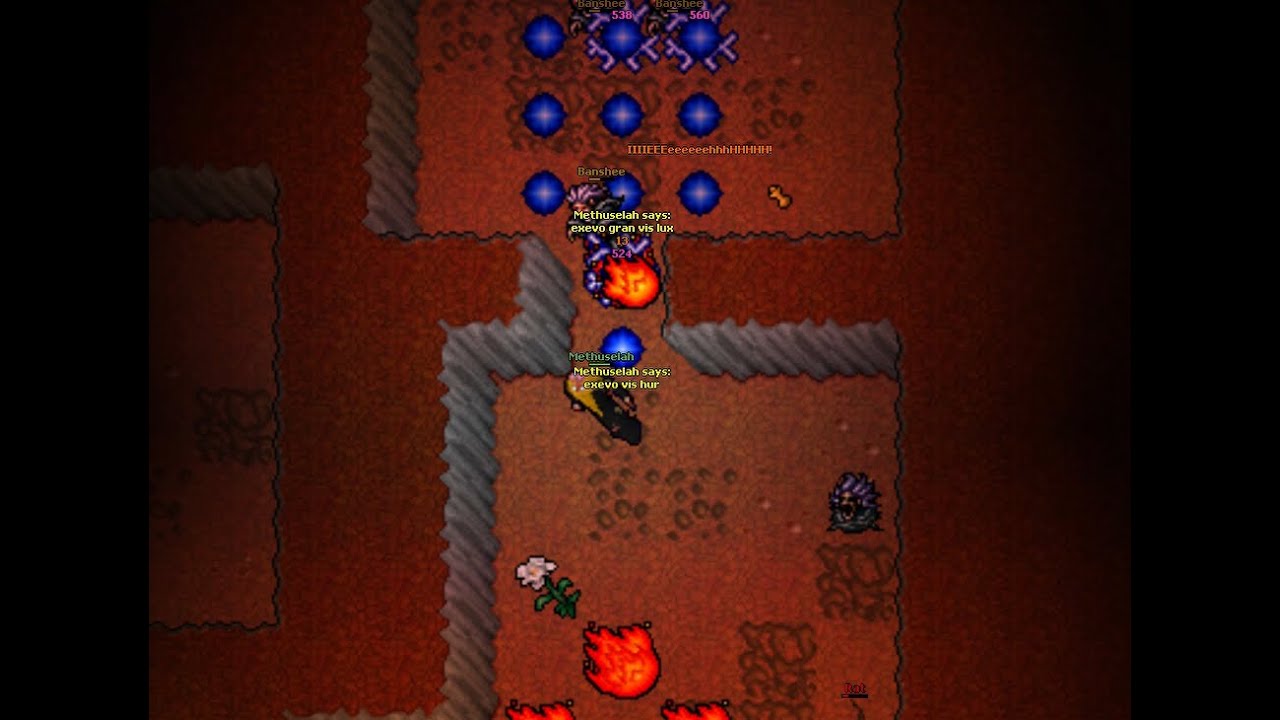 Dura (Tibia) - White Flower caves Banshee Raid - YouTube