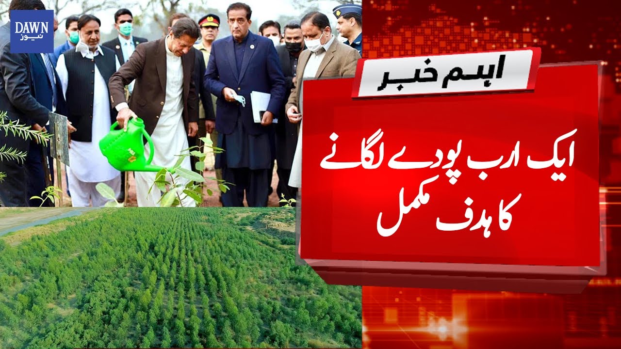 PM Imran Khan inaugurated the 10 billion tree tsunami program in ...