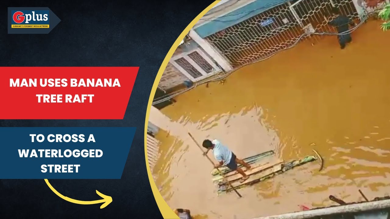 Man Uses Banana Tree Raft to Cross a Water-logged Street in Chandmari ...