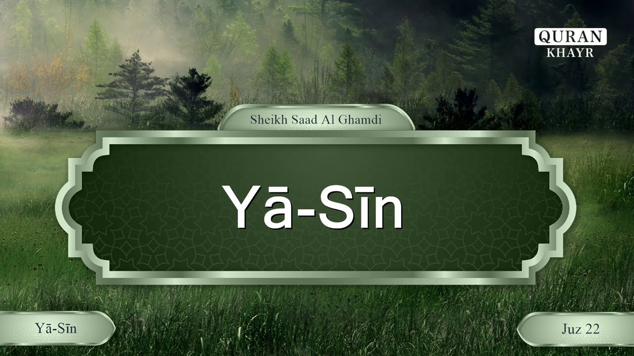 036 | Surah Yā-Sīn | Saad Al-Ghamdi with an English translation - YouTube