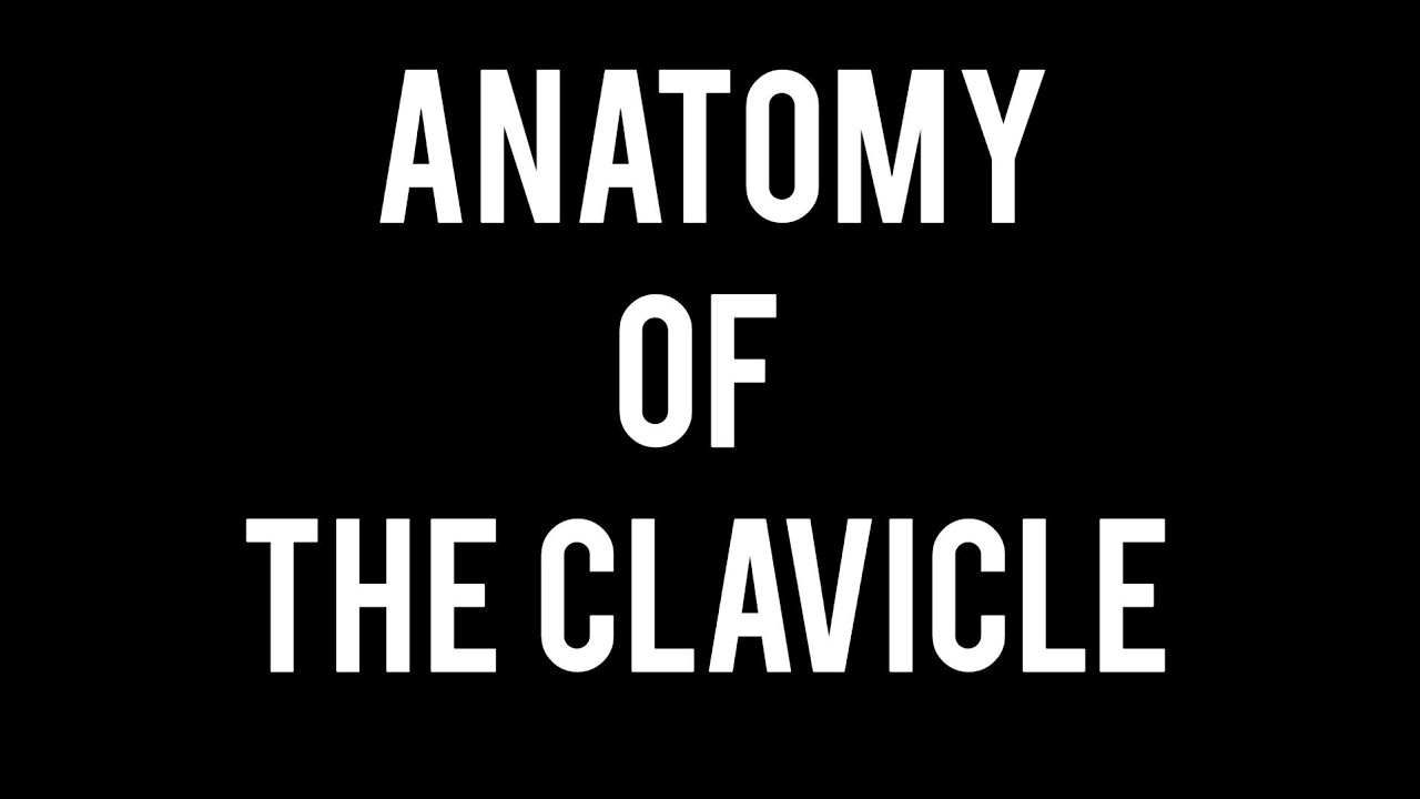 The clavicle - YouTube