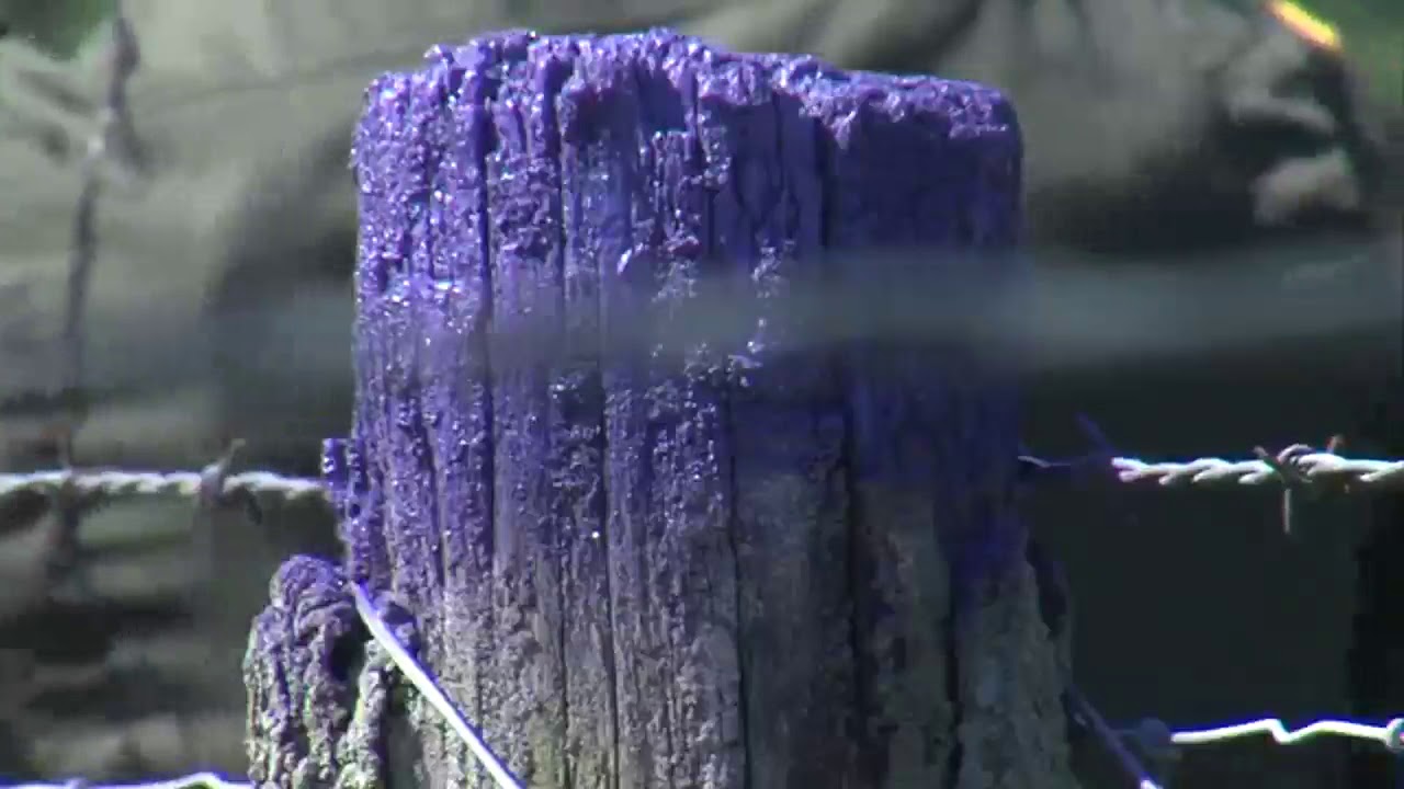 Purple paint aims to keep trespassers out - YouTube
