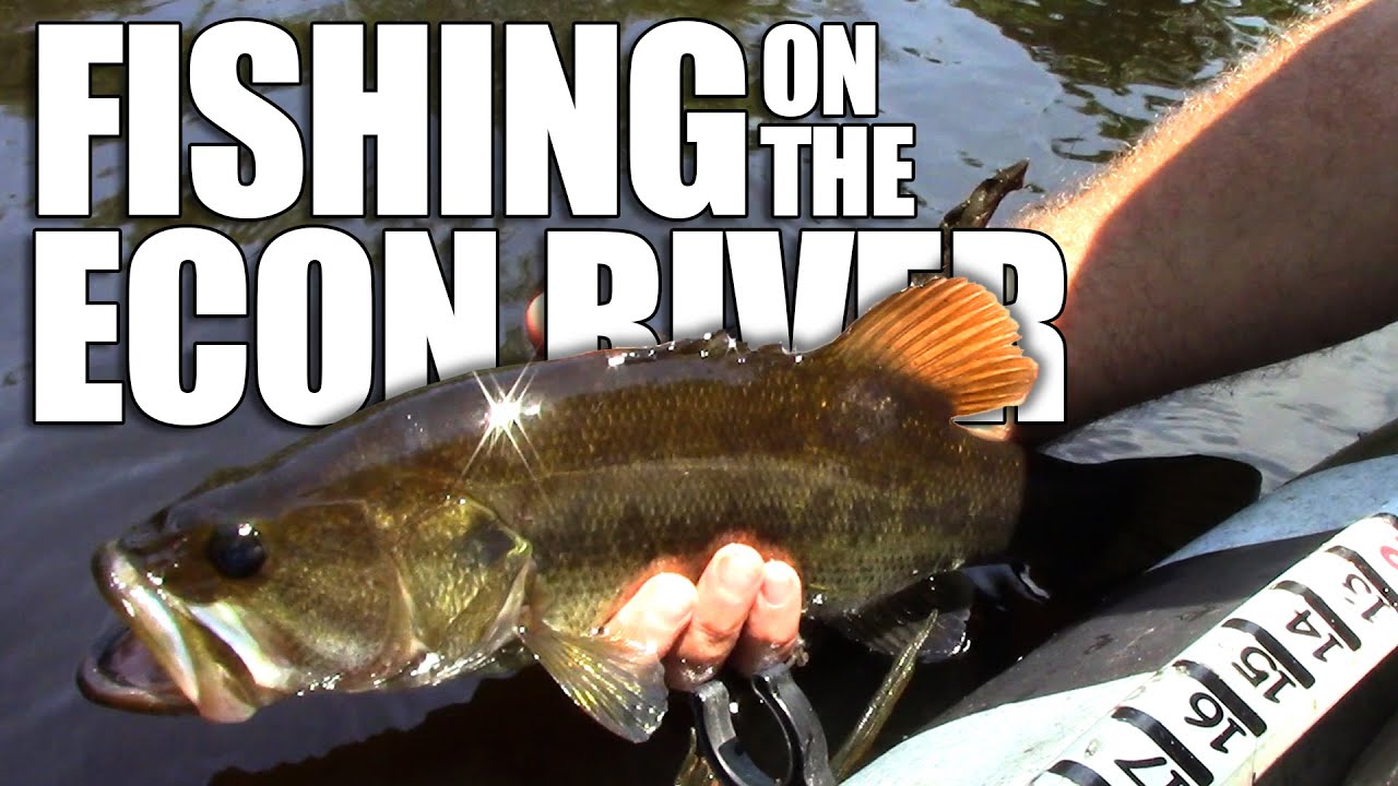 What it's Like to Fish the Econ River Florida - YouTube