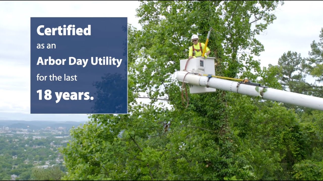 KUB Works for Environment & Customers Through Vegetation Management ...