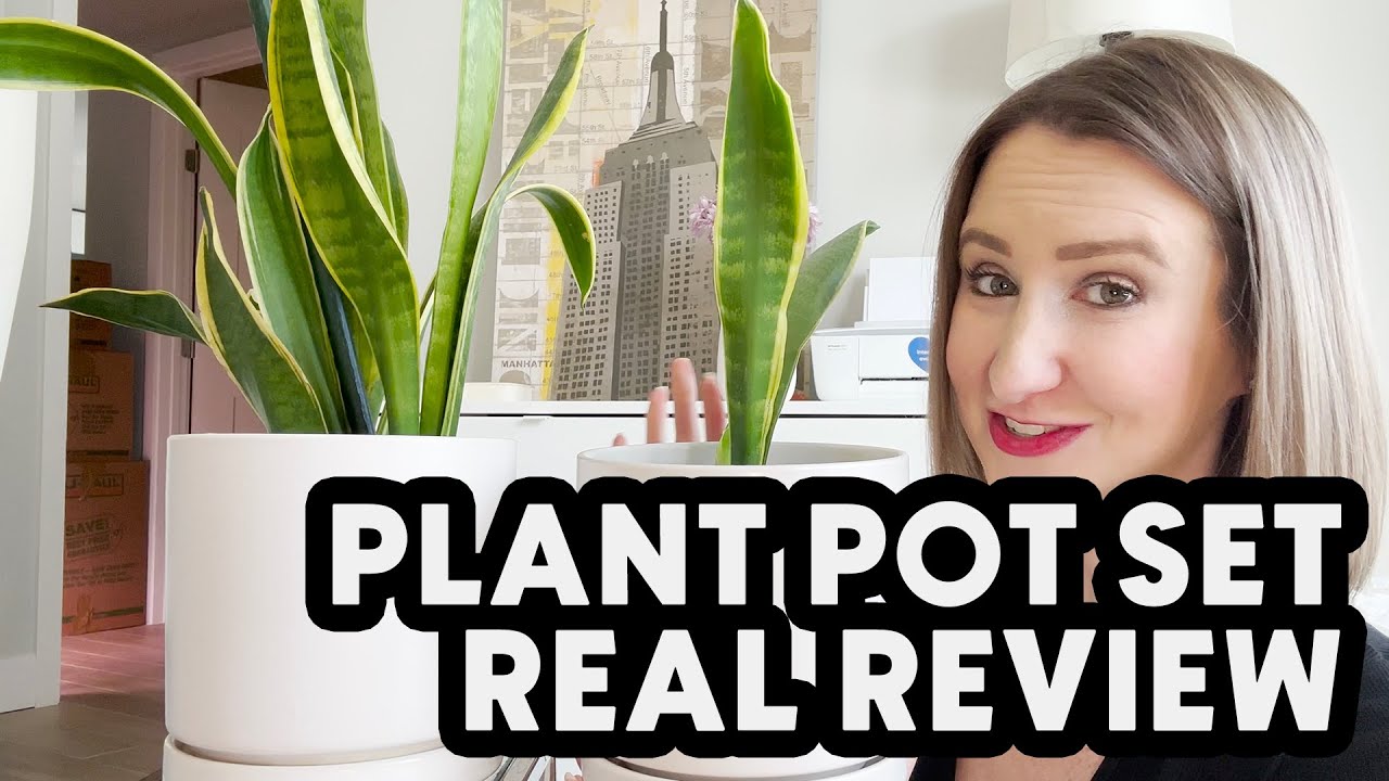 D'vine Dev Plant Pot Review (Set of 2) - YouTube