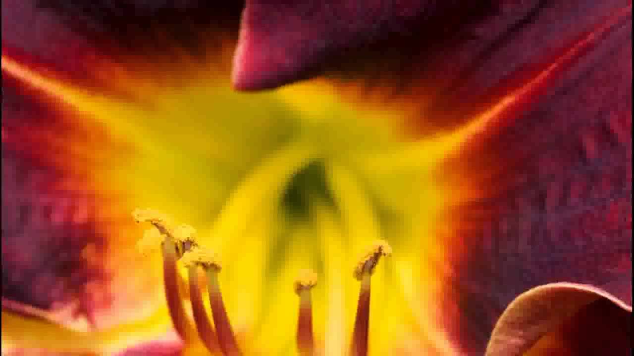 Gen Exp By SurLax - YouTube