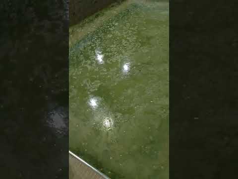 We conduct actual experiment on How to purify dirty /cloudy green pool ...