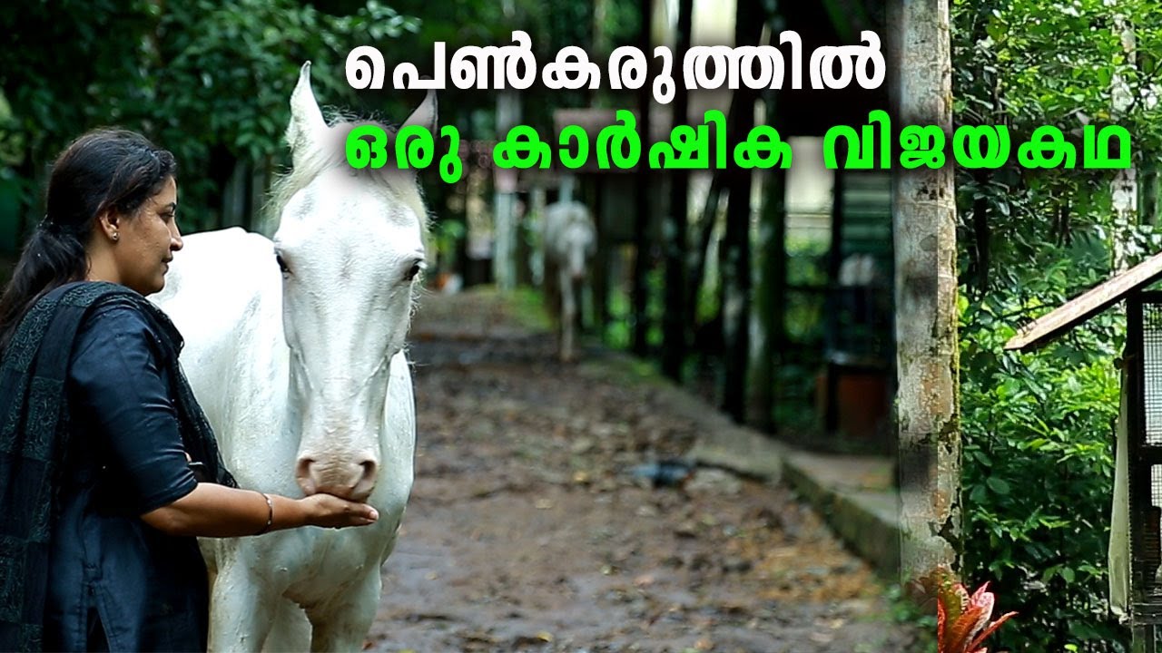 പെൺകരുത്തിൽ ഒരു കാർഷിക വിജയകഥ I Swapna Siby Kallingal Plantation - YouTube