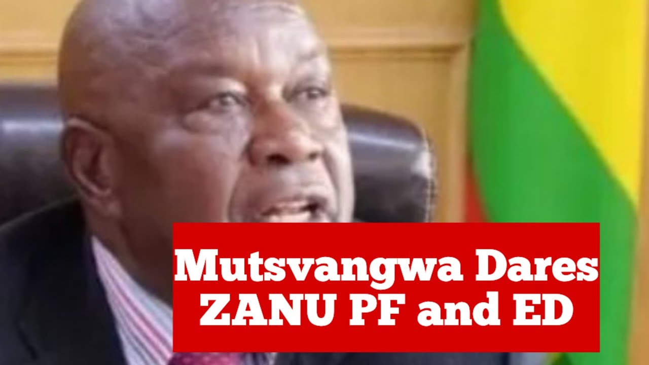 Mutsvangwa DARES Mnangagwa and ZANU PF - YouTube