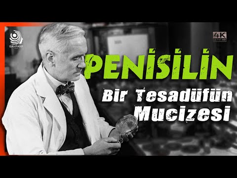 Mucizevi Tesadüf: Penisilin'in Bulunuşu ve Tıp Devrimi!
