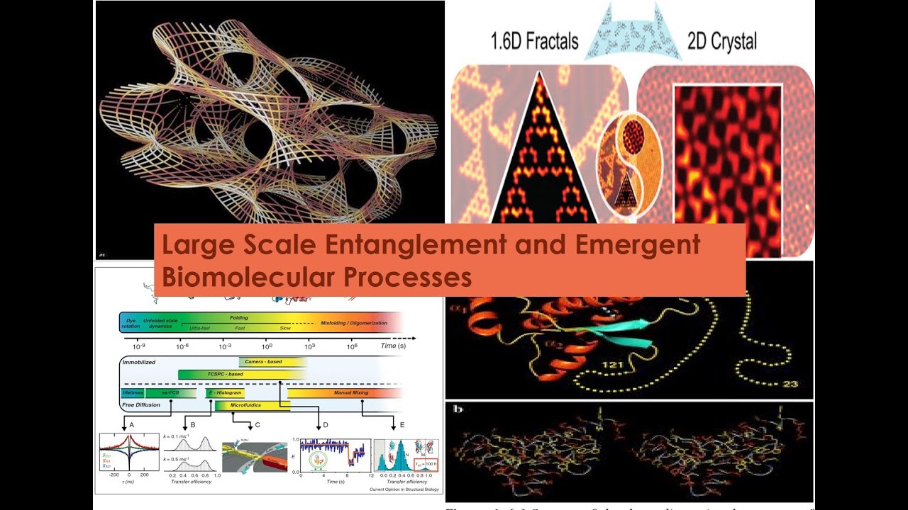 Large Scale Entanglement and Emergent Biomolecular Processes - YouTube