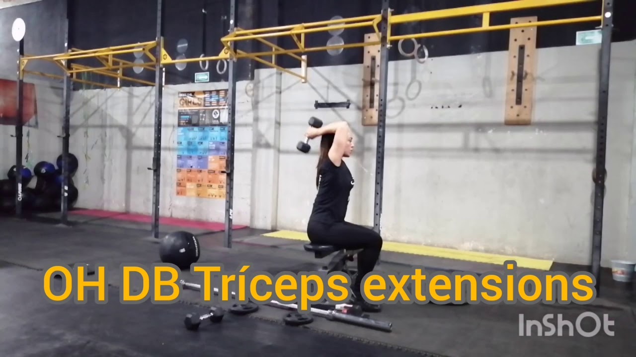 Overhead DB Tríceps Extensions. - YouTube