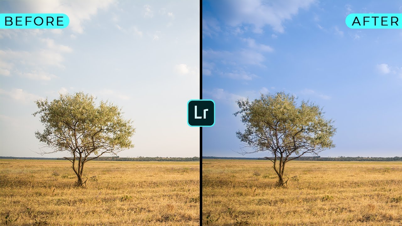 Lightroom Basics: Linear Gradient - YouTube