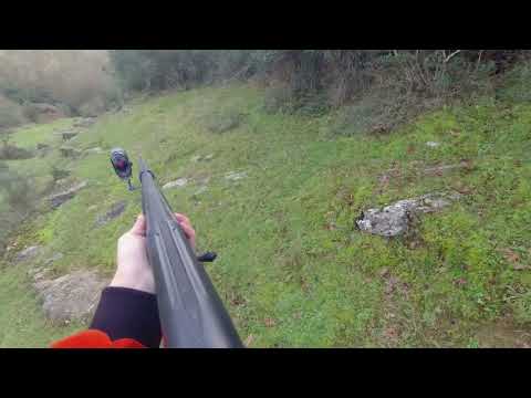 Domuz avı Köpekler yatak kovgun hiç susmadı #avcılık #domuz #wildboar #wild