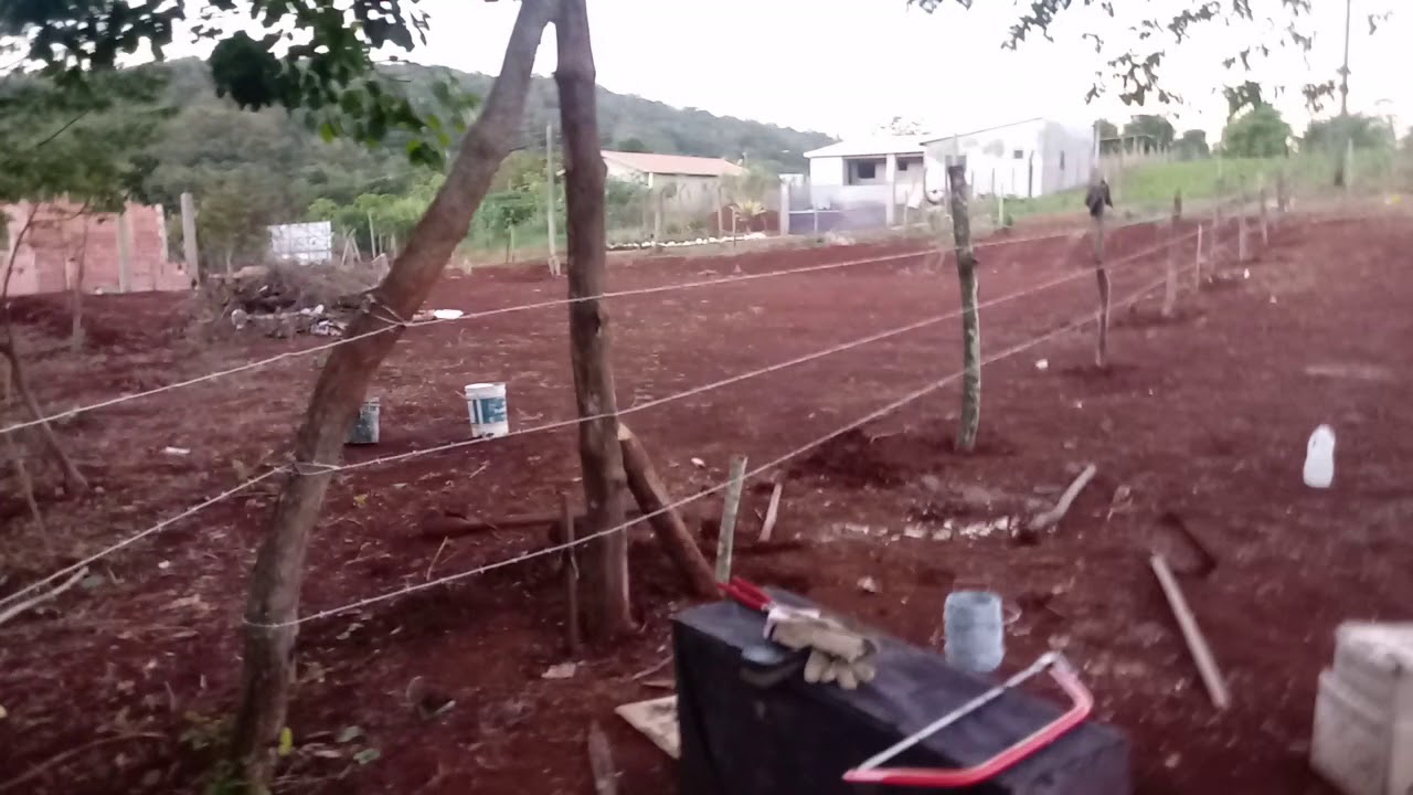 Cerca pronta. - YouTube