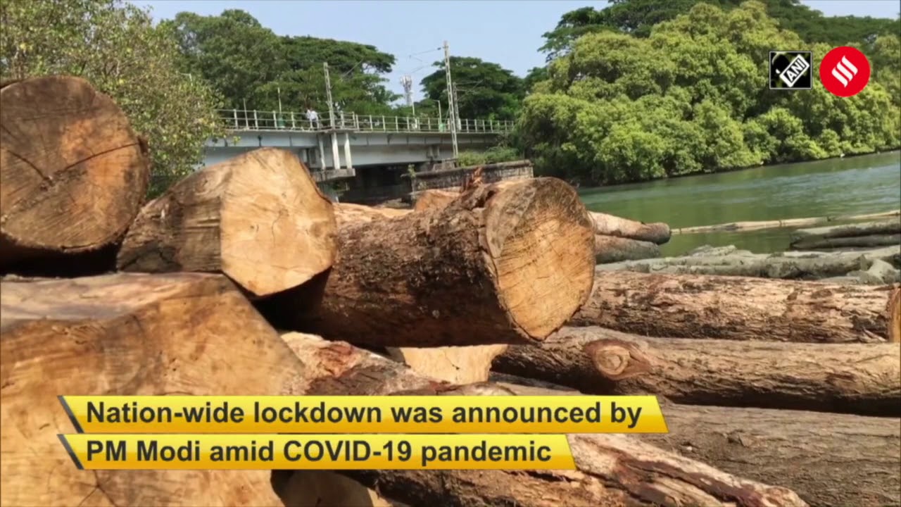 Water quality of Kerala’s Kallayi River improves due to lockdown - YouTube