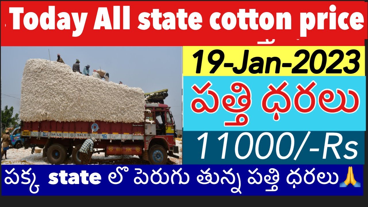 19-01-2023#today cotton rates#cotton rates today ఈరోజు all state cotton ...