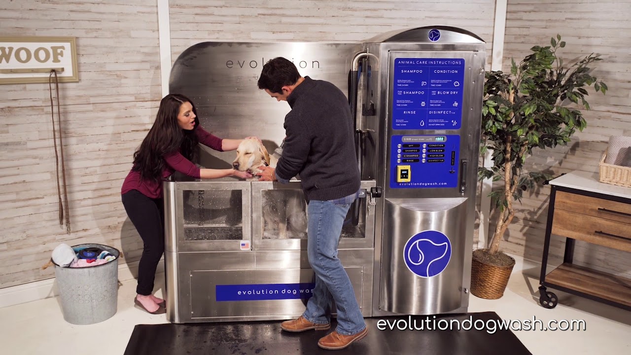 Evolution Dog Wash - Improving Business Revenue - Contact Us - YouTube