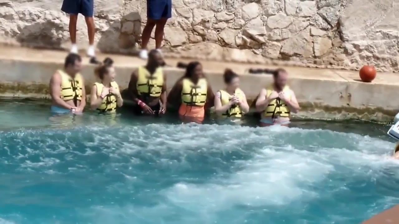 Man Swims With Dolphin and Loses Swim Trunks - YouTube