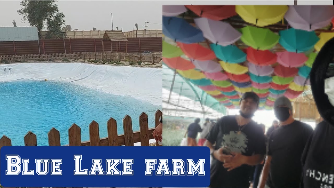BLUELAKE FARM ABDALY KUWAIT/KUWAITOFW #ADVENTURES#ALBOHAYRA - YouTube