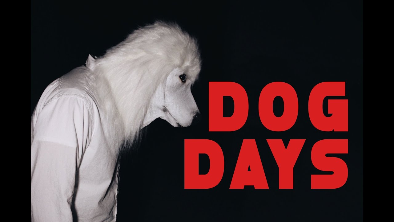 Dog Days - Short Film (2016) - YouTube