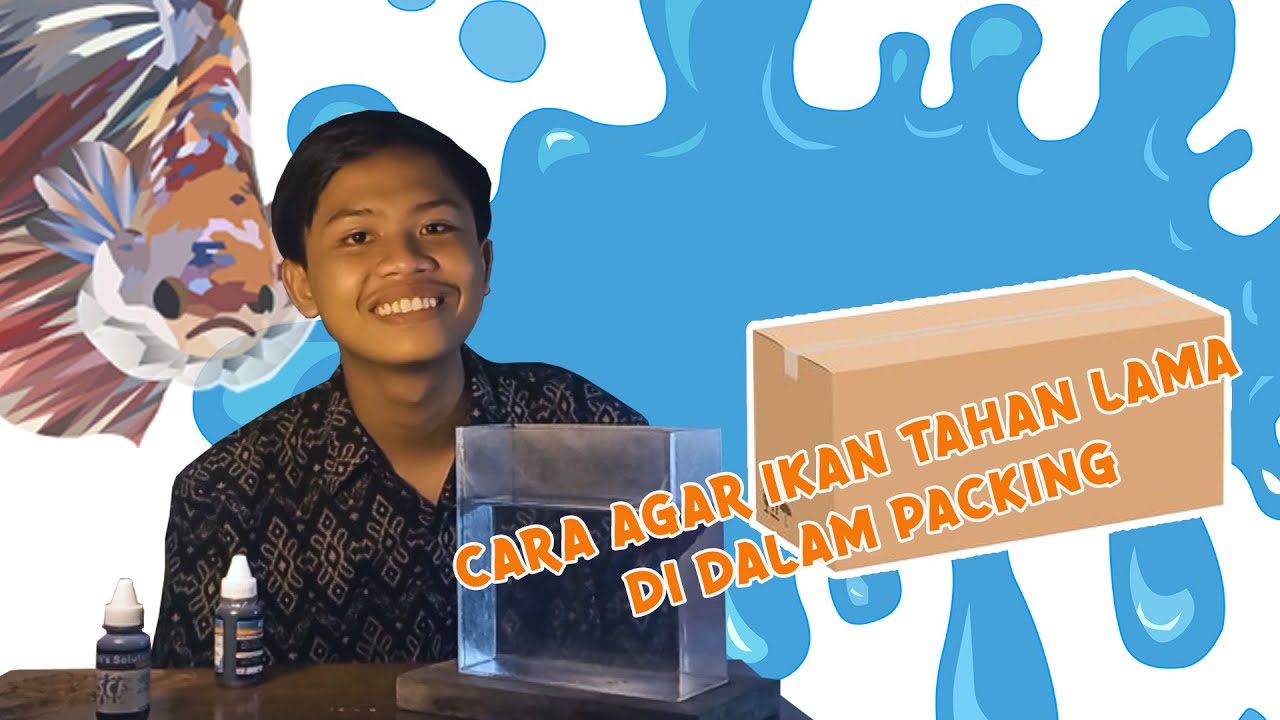 Cara Agar Ikan Tahan Lama Di Dalam Packing Pengiriman - YouTube