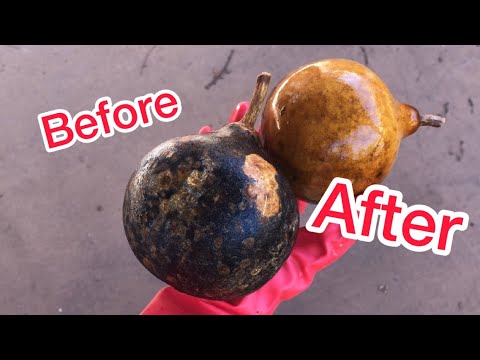 How to Clean Dried Gourds for Crafts and Decorating - YouTube