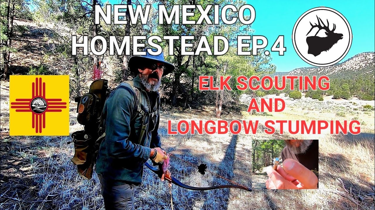Scouting For Elk / LONGBOW Stump Shooting/ New Mexico Homestead Ep.4 ...