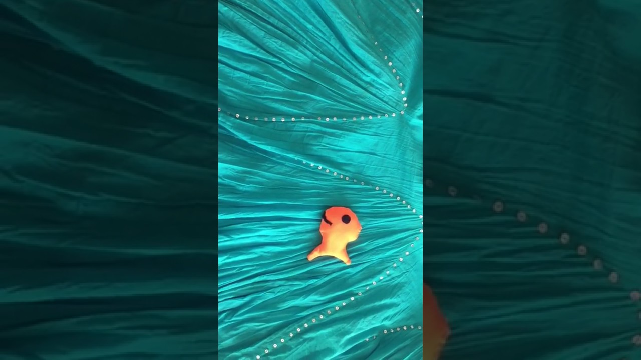 5 Little Fishes Counting Song - 1 Fish - YouTube