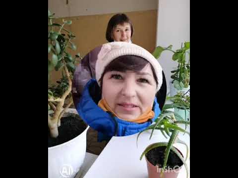 Работа, девочки, КВД. - YouTube