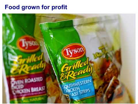 IB ESS - Soil, Terrestrial Food Production Part IX - YouTube
