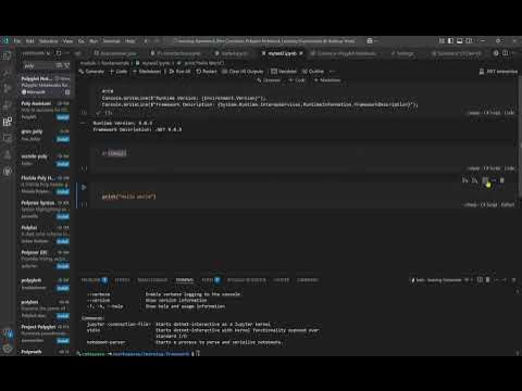 .NET Interactive Polyglot Notebook issue - YouTube