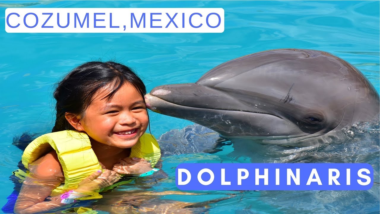 Dolphinaris in Cozumel - YouTube