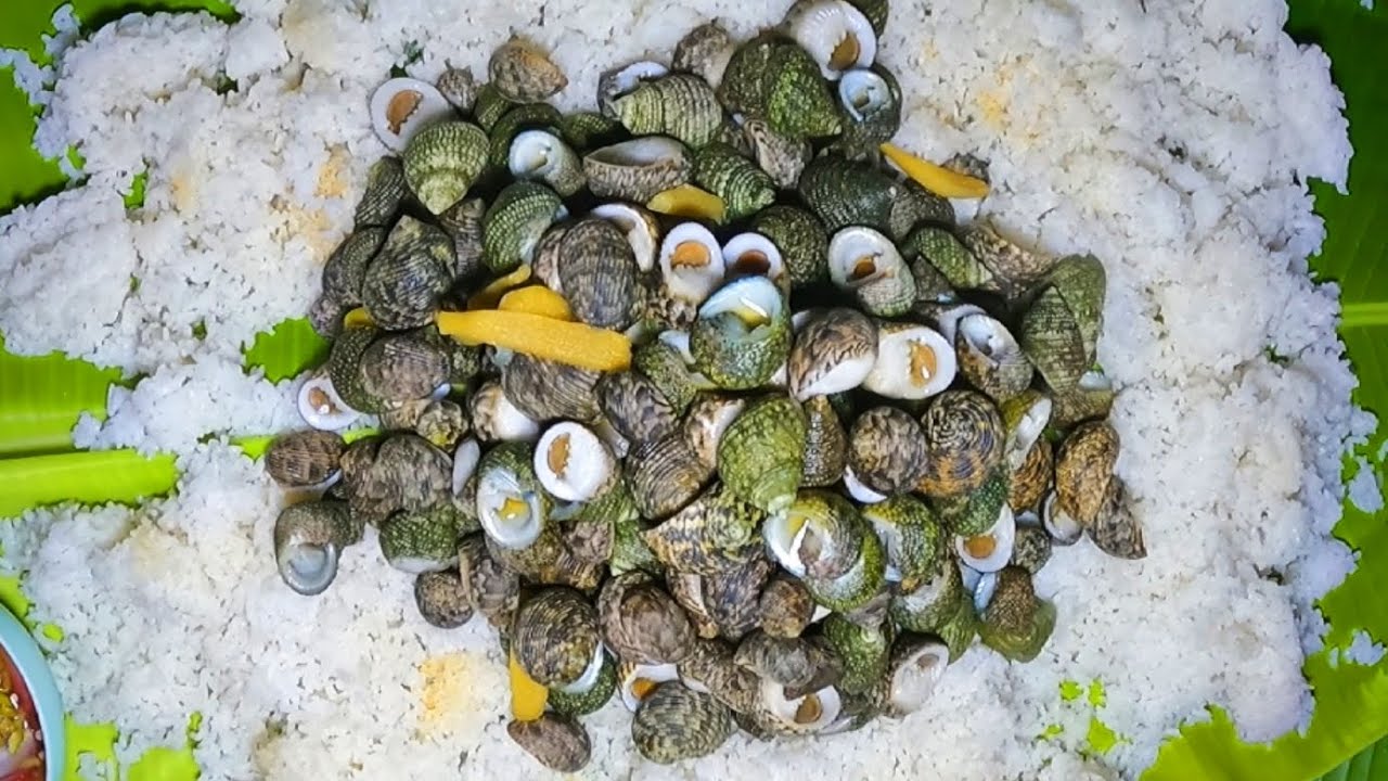 Shell na Mukhang Kuko pero masarap pala! Part 2 - YouTube