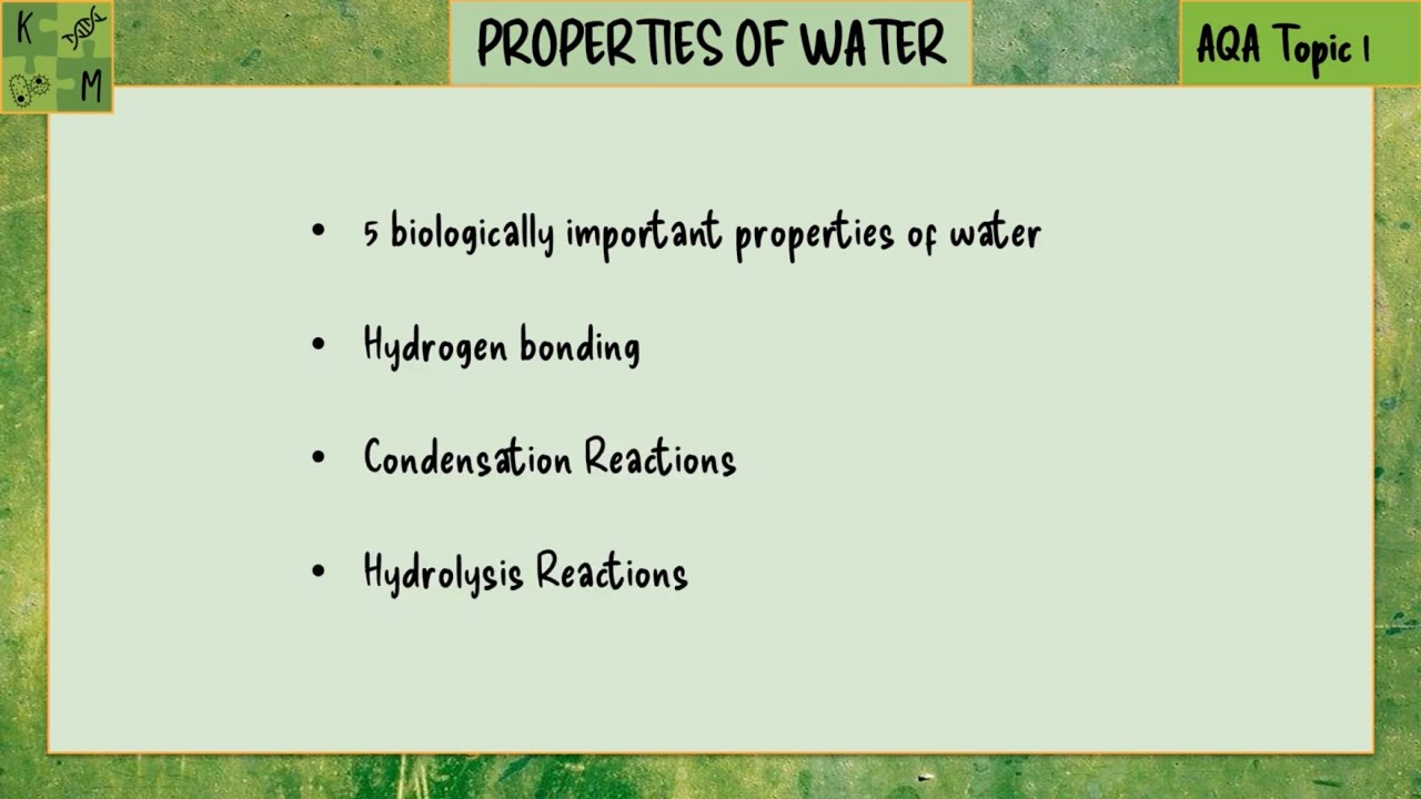 Properties of Water - AQA A level Biology Topic 1 - YouTube