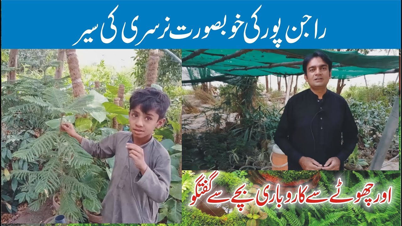 Beautiful Nursery visit Rajan Pur - YouTube