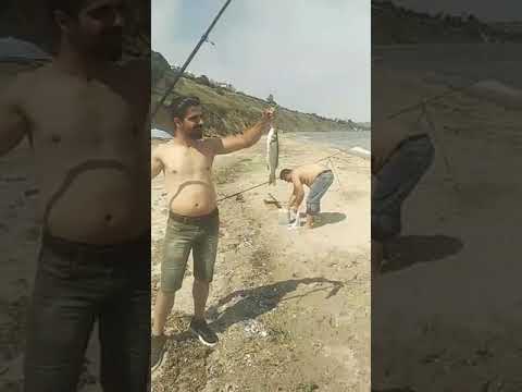 Levrek avı Sultanköy açıklamayı okuyun lütfen