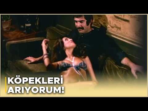 Televizyon Niyazi Türk Filmi | Niyazi, Cesi'nin Peşine Düşüyor