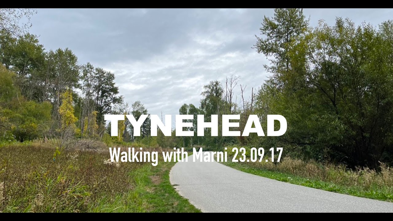 Tynehead Regional Park (Perimeter Trail) 4K 🇨🇦 23-09-17 - YouTube