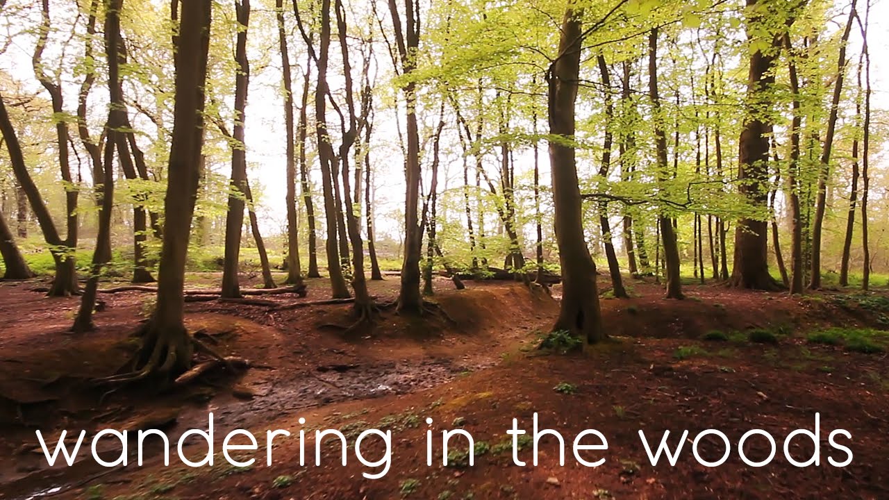 Wandering In The Woods | Sights & Sounds - YouTube