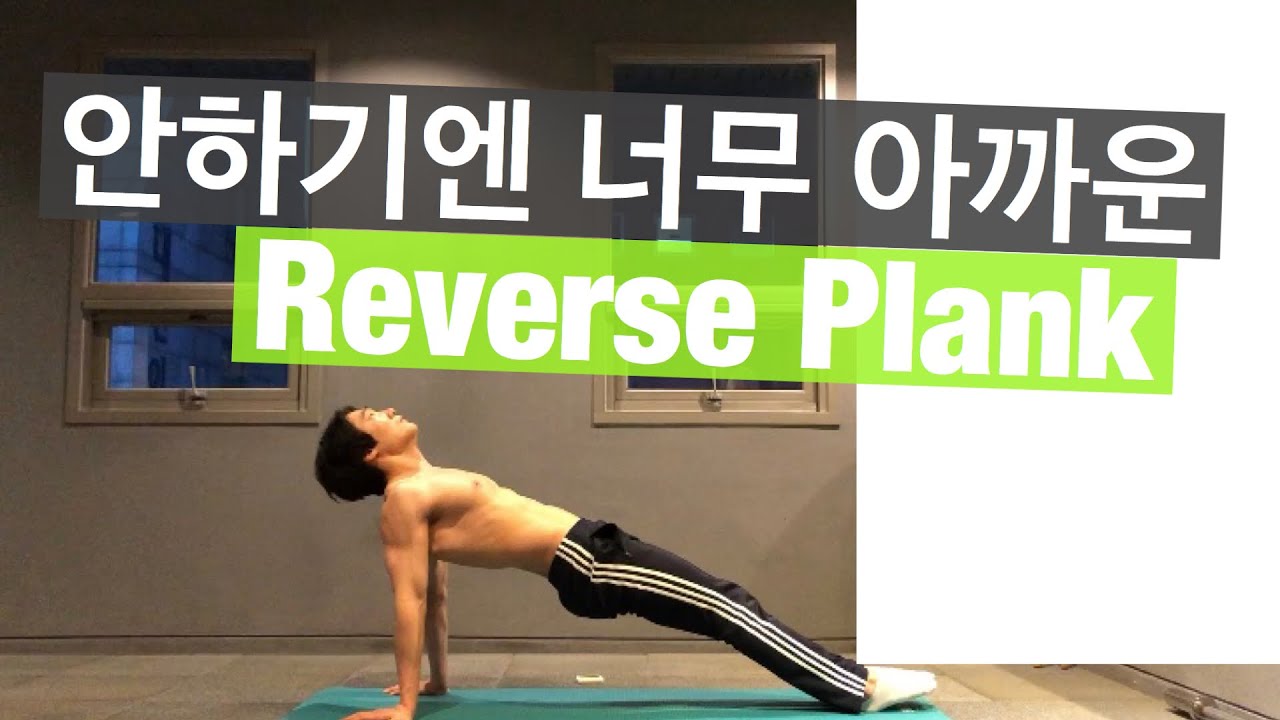 리버스 플랭크 연습 방법입니다. (Reverse Plank) - YouTube