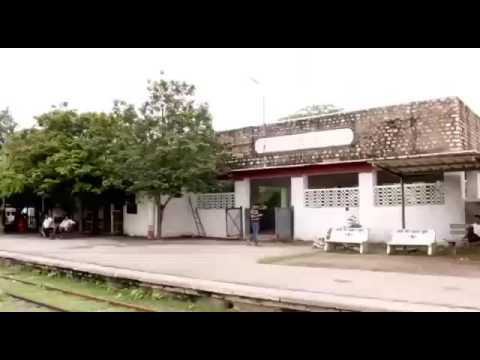 Amet rajsamand rajasthan/Ali tiger - YouTube