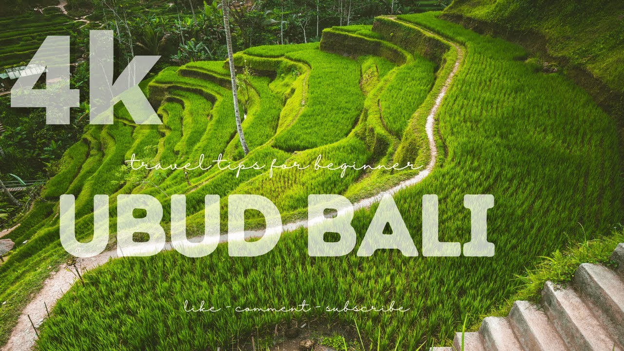 Ubud Bali 4k video with relaxing | Meditation music - YouTube