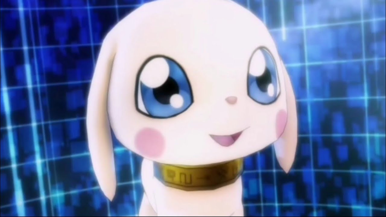 Digimon ReArise | Salamon Digivolves - YouTube