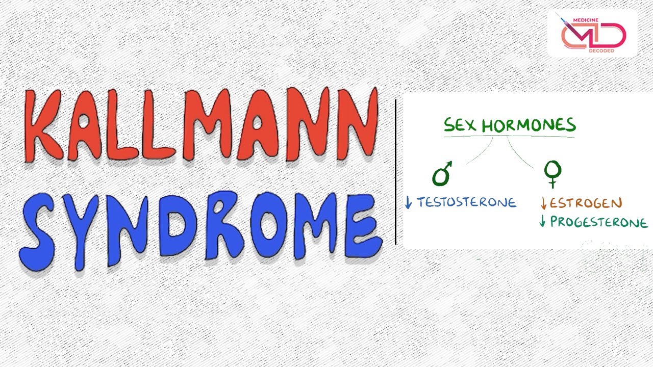 Kallman Syndrome | What is Kallmann Syndrome: Pathophysiology ...
