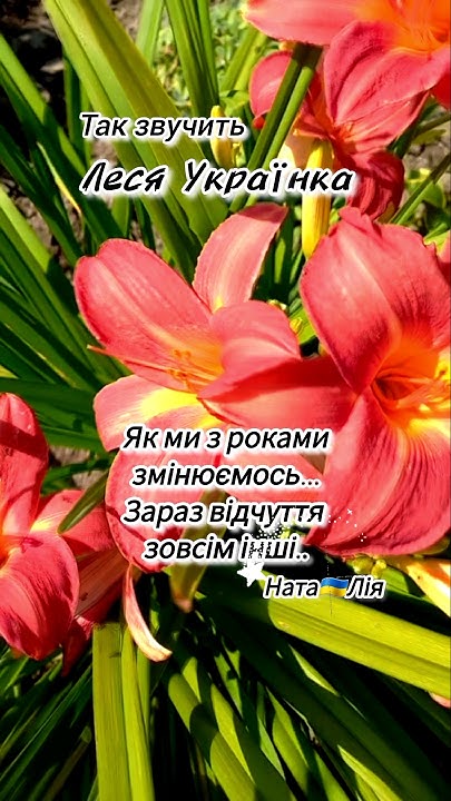 Вірш який ми вчили в школі💛💙 вірш лесяукраїнка музика