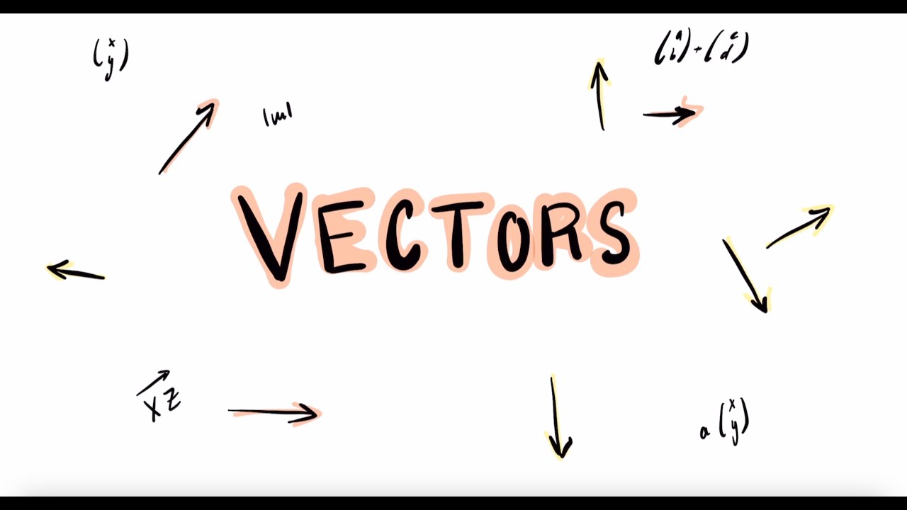 WHAT are VECTORS!?? basics: notation, addition, scaling :))) - YouTube
