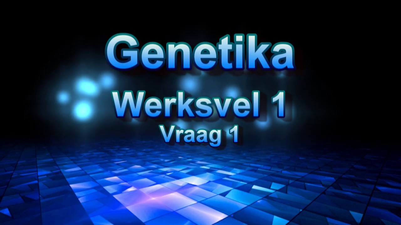 Genetika (Monohibriede Kruisings met Dominansie) Werksvel 1 Vraag 1 ...