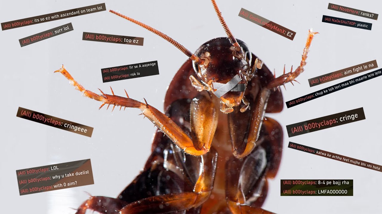 Shutting up a trash talking Cockroach in Valorant - YouTube