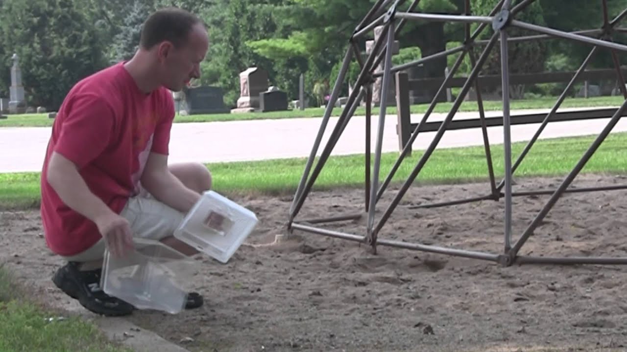 Video FX-T3 - How to Record Insect Sounds - YouTube